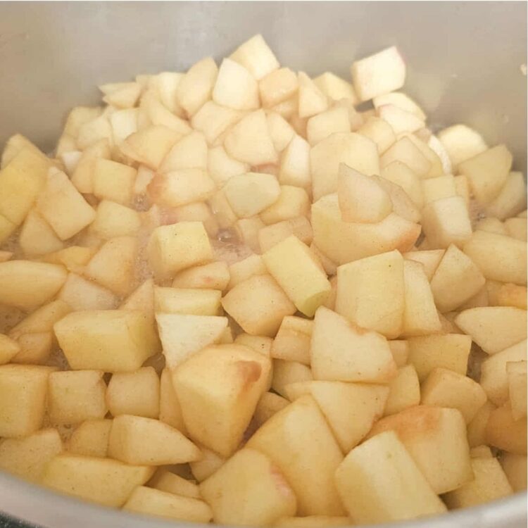 Homemade Apple Sauce - The Happy Homemaker