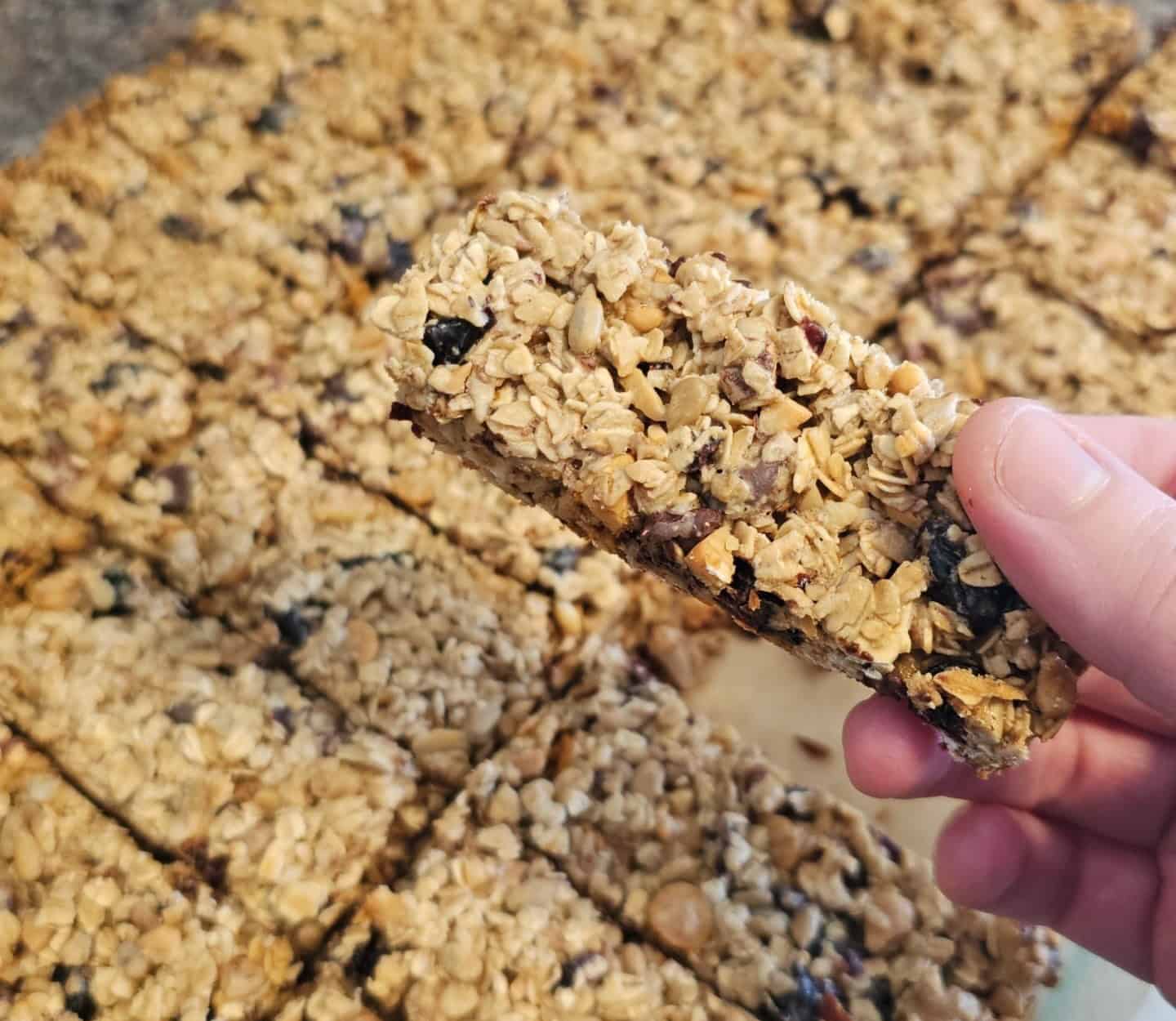 Granola Bar Recipe - The Happy Homemaker