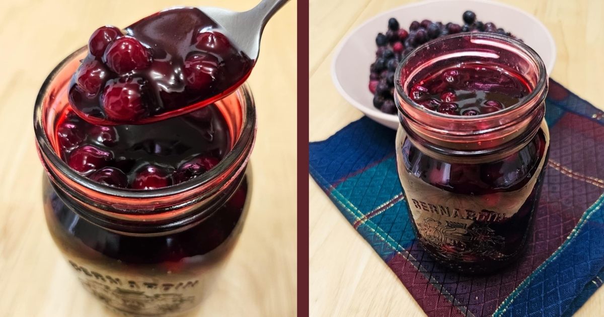 Saskatoon Berry Sauce - The Happy Homemaker